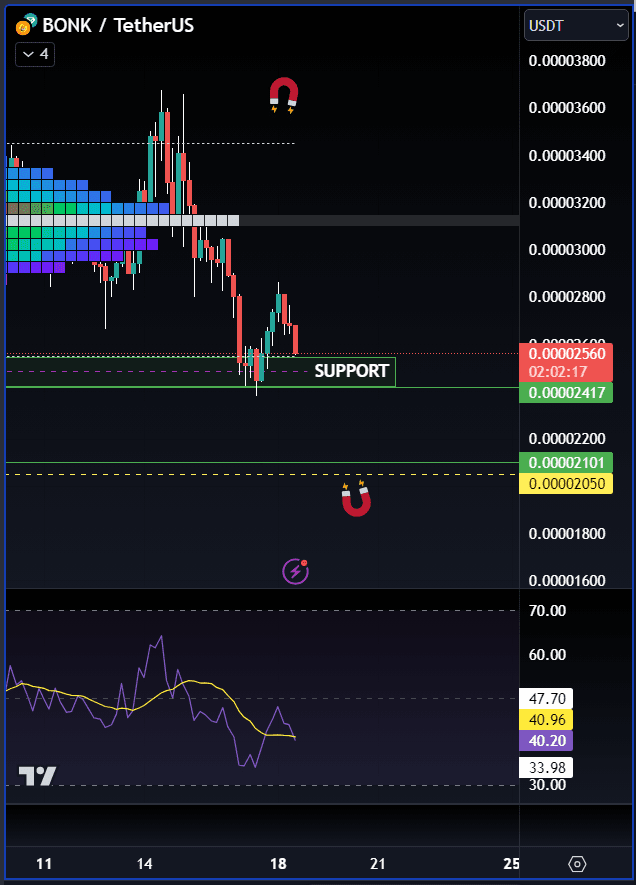 ⏰ Critical Support Watch on BONK: Decision Time Approaches! | EagleEye ...