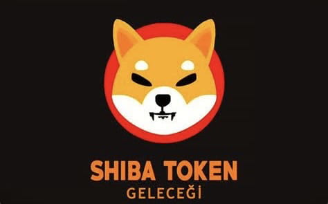 Friends, let's clarify this issue. Shiba, pepe, floki, doge ...