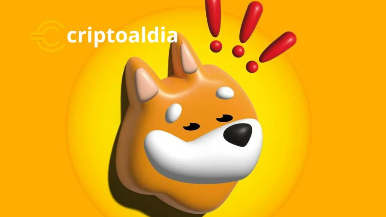 The Incredible Journey of Bonk (BONK): From Low to High | Criptoaldia ...