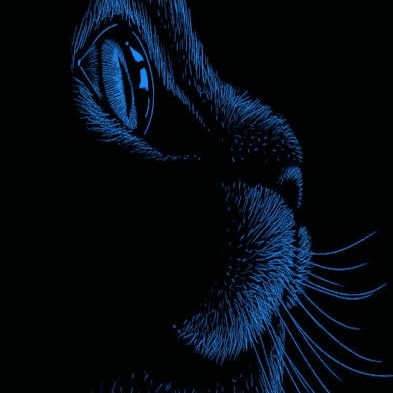 Sk Forid's Profile | Binance Square