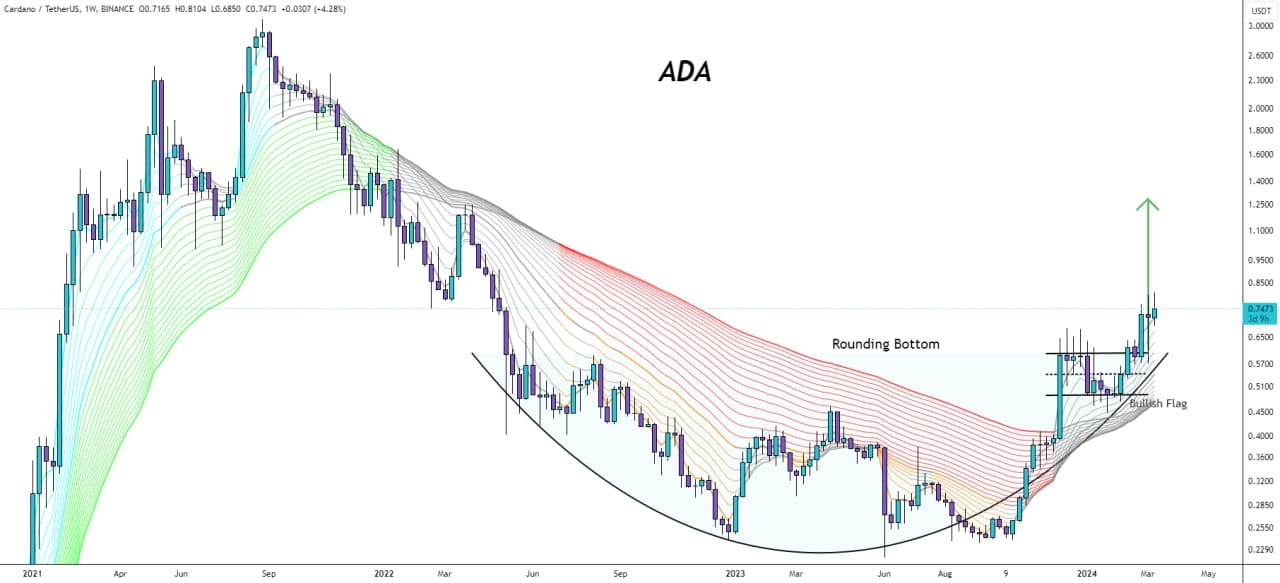 💰 #ada/usdt broke out of the Bullish Flag & Rounding bottom | Crypto ...