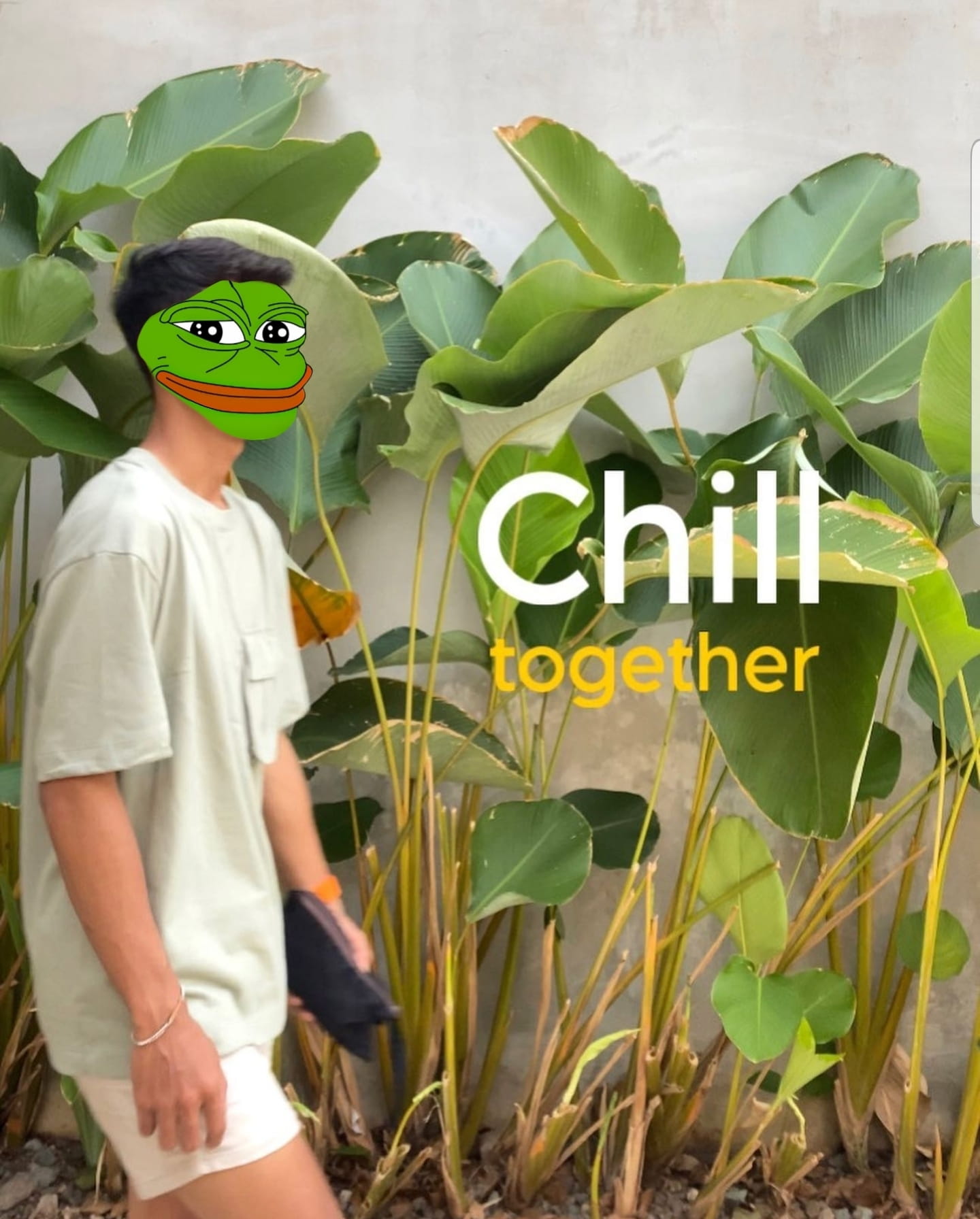 chill together$PEPE 🌿 | Bara20 on Binance Square