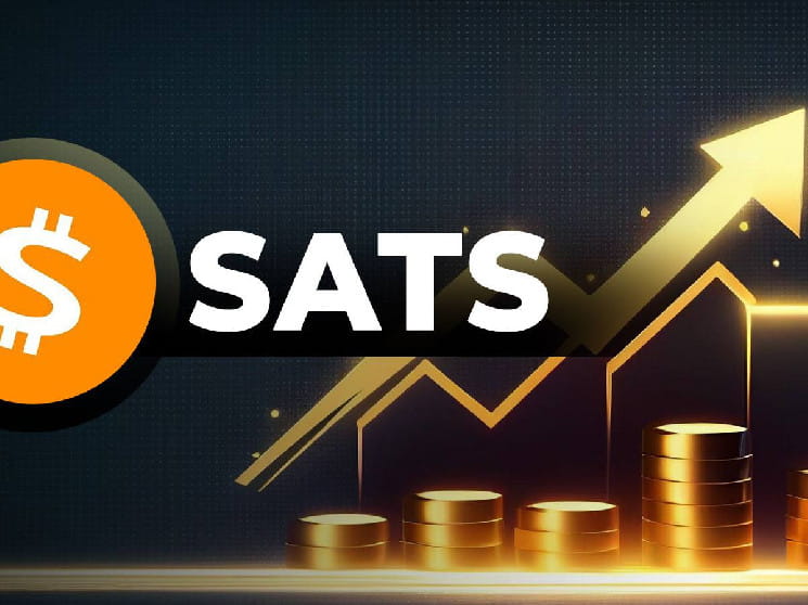 SATS coin - is the currency of the ordinals protocol and has | Saaka on ...