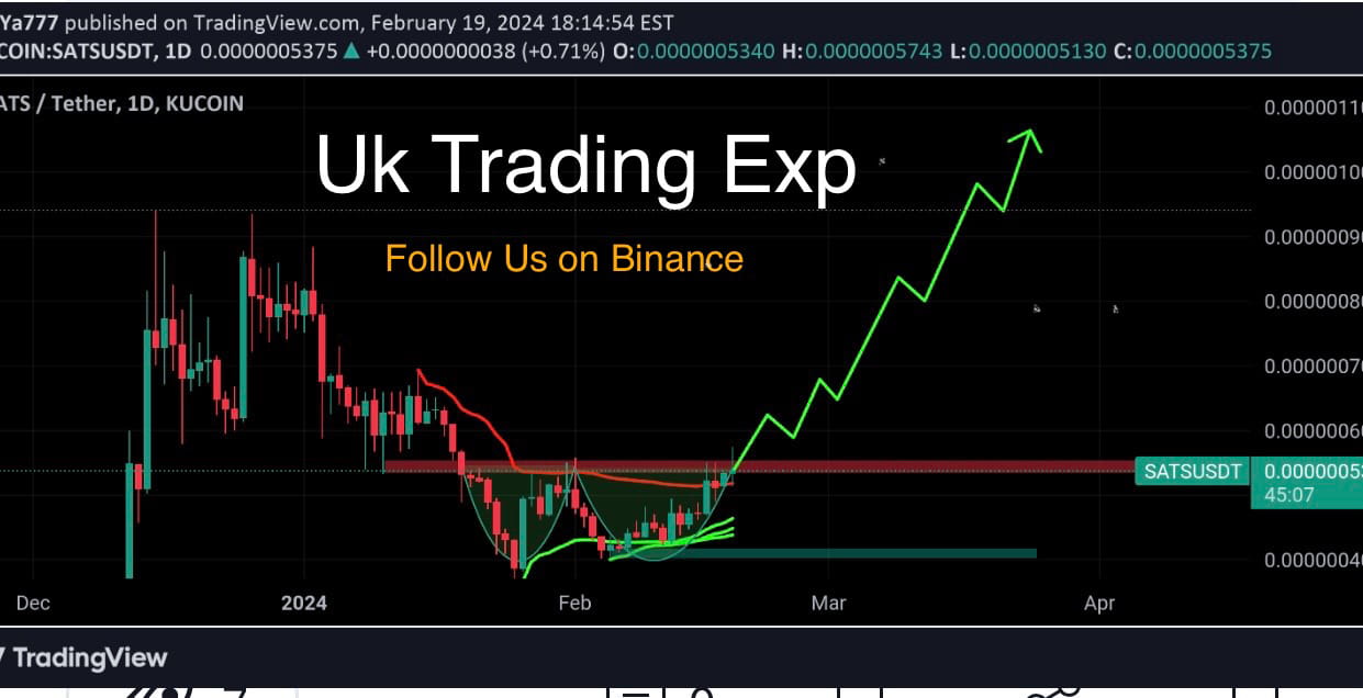 Sats/Usdt Chart | Long or Short? • Double Bottom | Crypto Stats Zero on ...