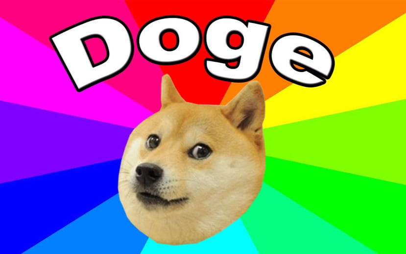 Brothers, doge to the moon!! $doge $DOGE | Webthri on Binance Square