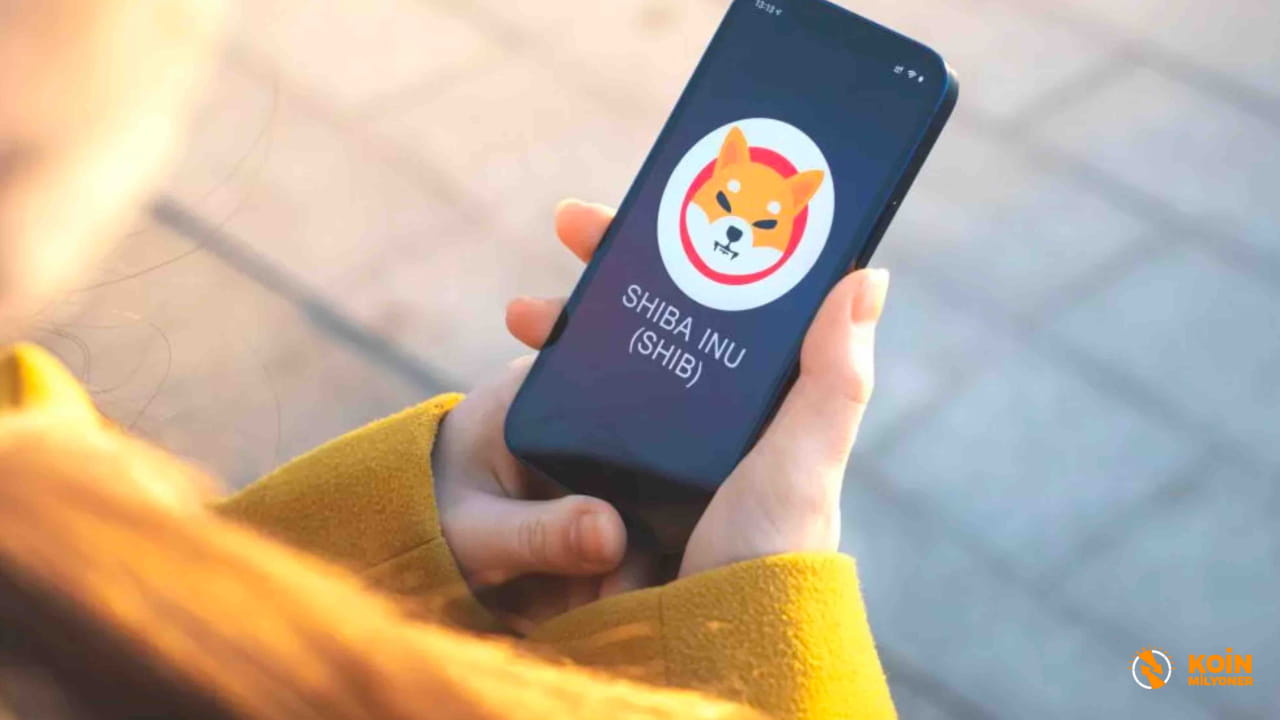 The Shiba Inu Project's Head Developer Co-Signs a $100 Billion ...