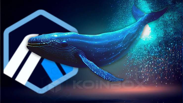 Giant Transfer in Popular Altcoin! Whales Awakened in Token | tuNNCay ...