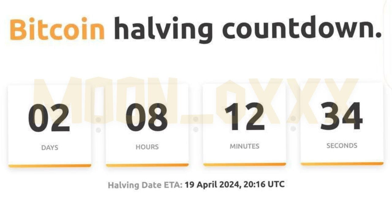 ️Only two days left until the Bitcoin halving... Let's cut | AureLux on ...
