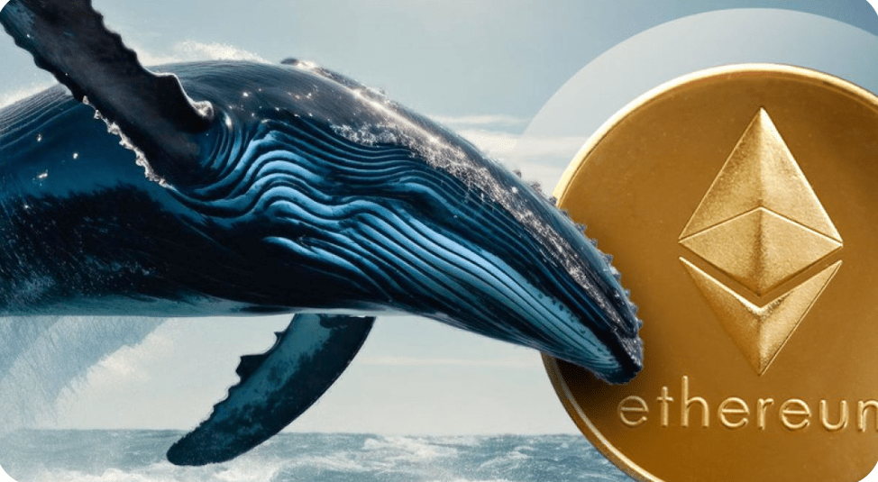 Ancient Ethereum Whale's 5,000 ETH Sell-off stirs market. A | Crypto Web3 Today on Binance Square