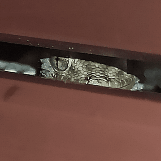 María mariaa's Profile | Binance Square