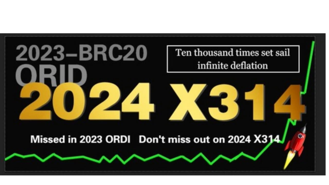 X314 protocol swept the world, and the increase soared to 100 times! Millionaires were born ...