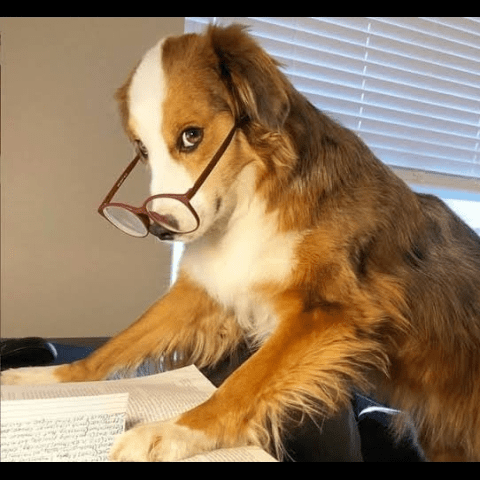 M-Money___'s Profile | Binance Square