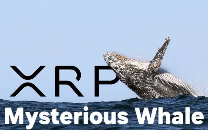 🗣️🤯Mysterious Whale Transfer Jaw-Dropping 24.9M XRP A my | Symplyjumi ...