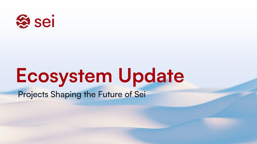 Block by Block the Sei community continues to build and grow | Sei on ...