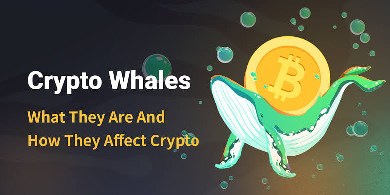 🔥What is a crypto whale and why are they important? Here a | Symplyjumi on Binance Square