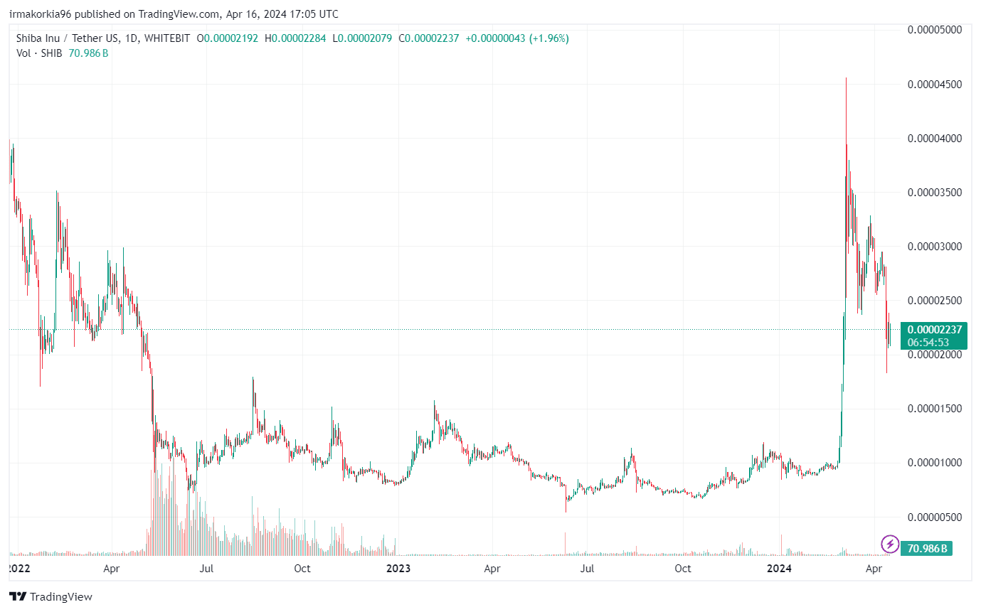 🔥 SHIB Price Forecast: What’s Next For Shiba Inu Coin Amid | Irma Analytics on Binance Square