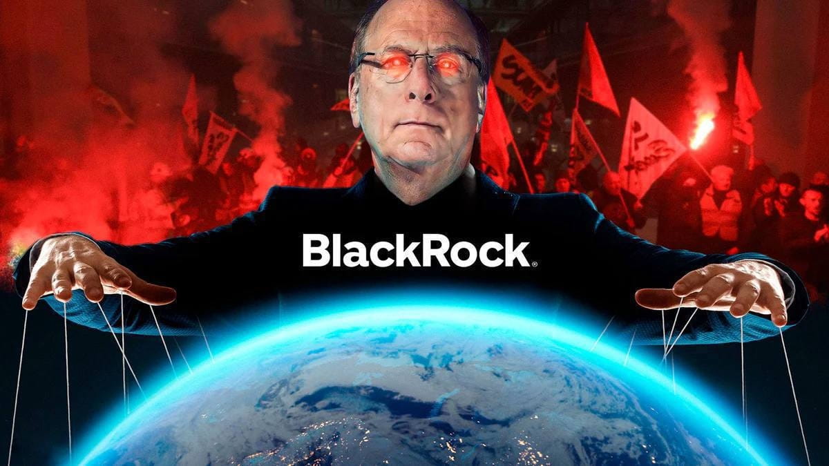 ⚡️ The shadow ruler of the world — BlackRock manages assets | Gutsul ...