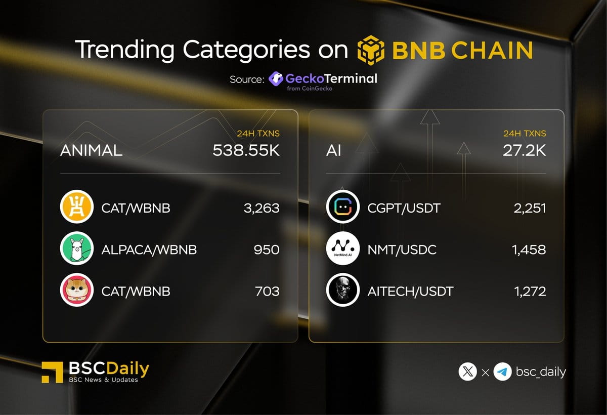 Trending Categories on BNB Chain (@GeckoTerminal) 😍 Animal | BSCDaily ...