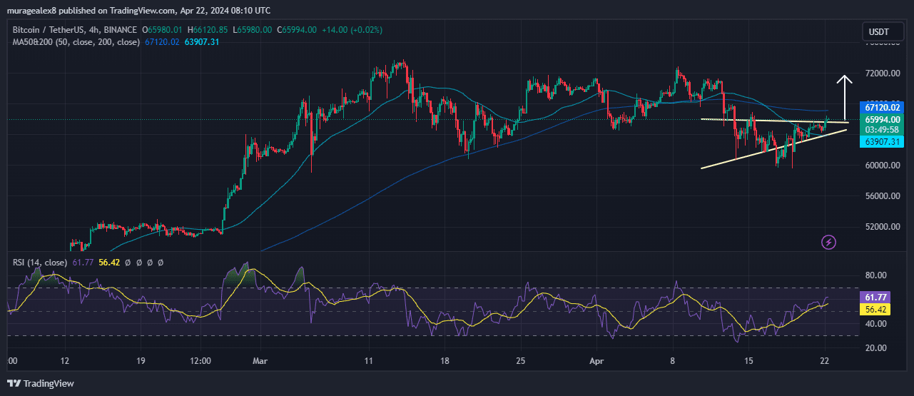 Bitcoin Price Prediction: BTC Fees Plunge Despite Runes Debut As This ...