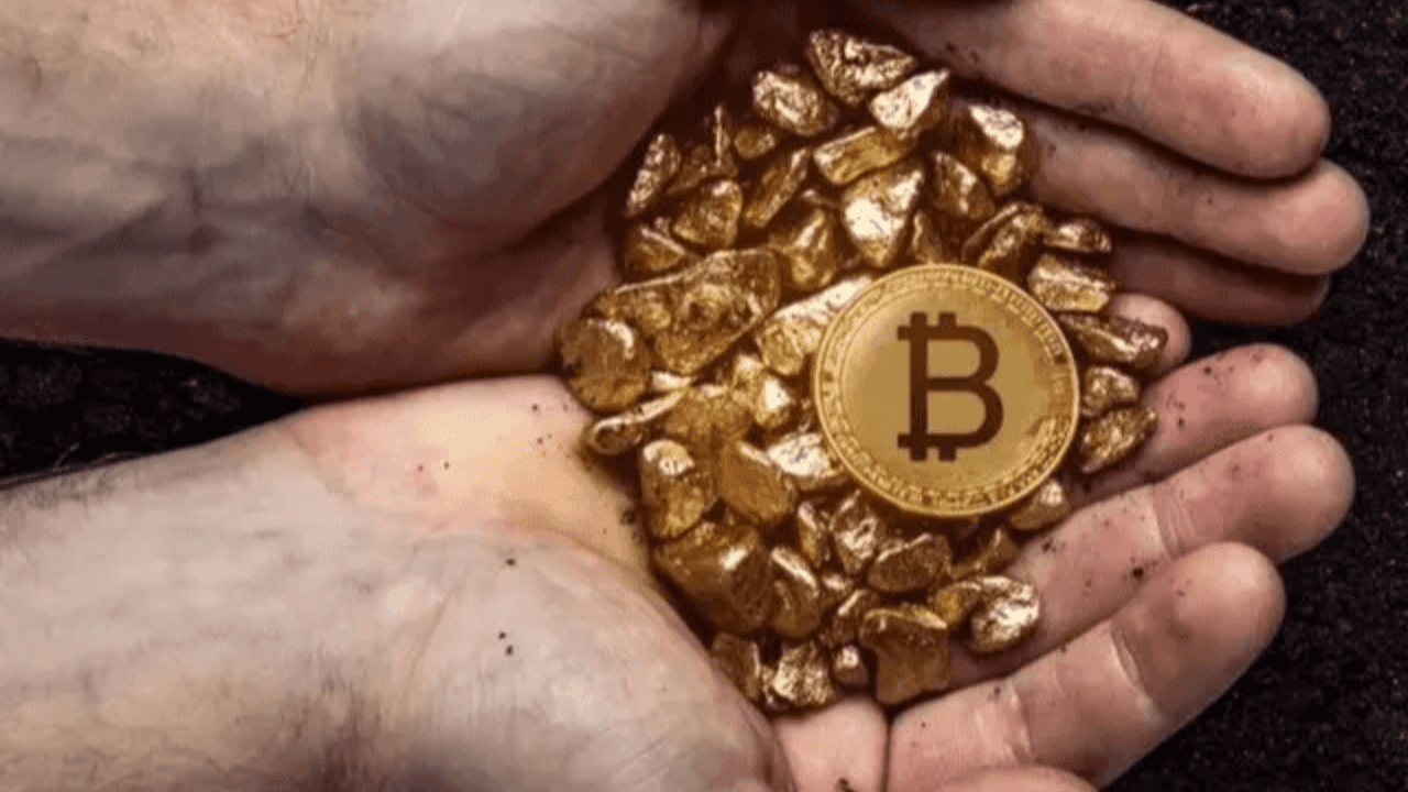 $WBTC $BCH $BOME Why do people fight to the death when they | Annice ...