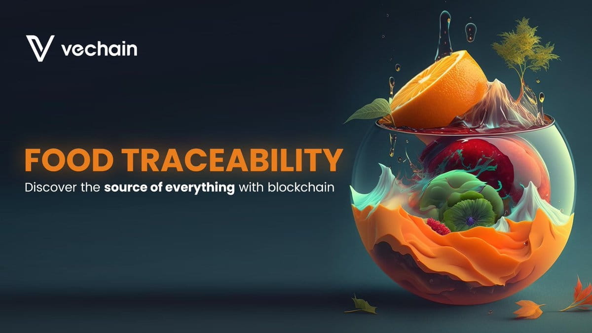 VeChain's blockchain technology makes the global food indust | vechain ...