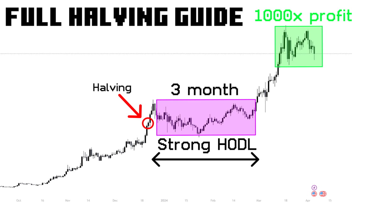 BTC halving in 15 days, alt season is about to pop off 📈 B | Monserrate ...