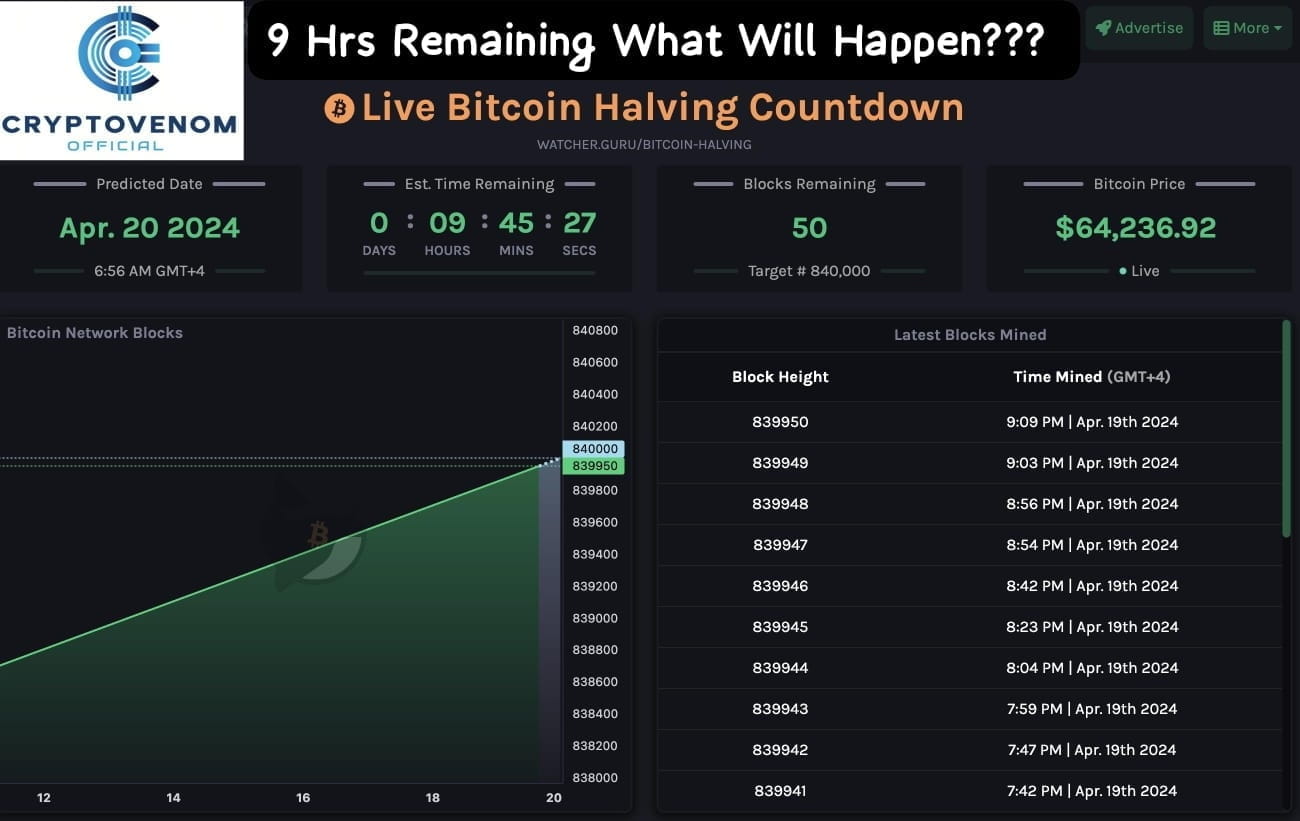 🔥 Countdown to the BTC Halving: 9 Hours Left! 🔥 With just | Reuben ...