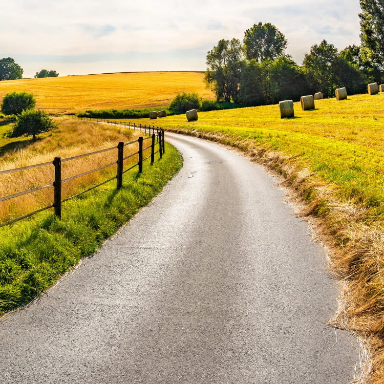 M-Sarfraz's Profile | Binance Square