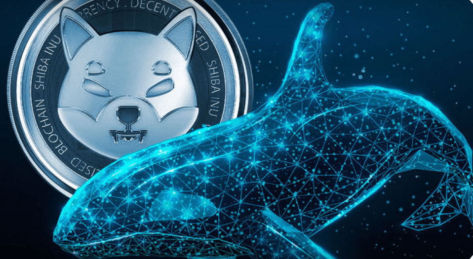 Shiba Inu (SHIB) Whales Move Massive 6.1 Trillion Tokens in | Crypto Web3 Today on Binance Square