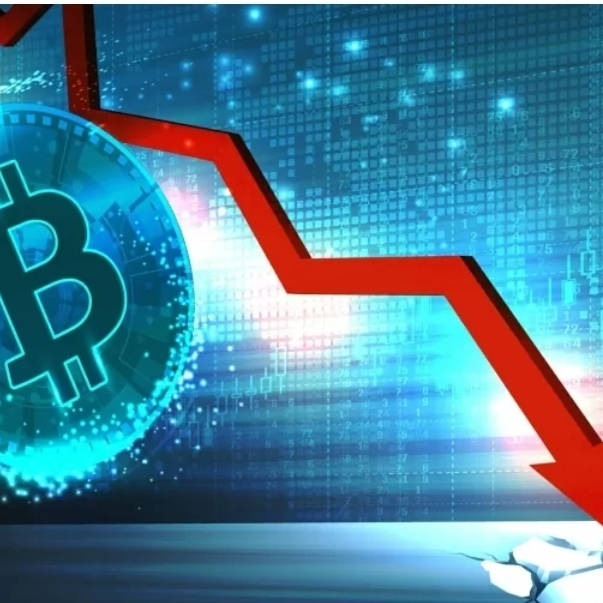 Doug-coin's Profile | Binance Square