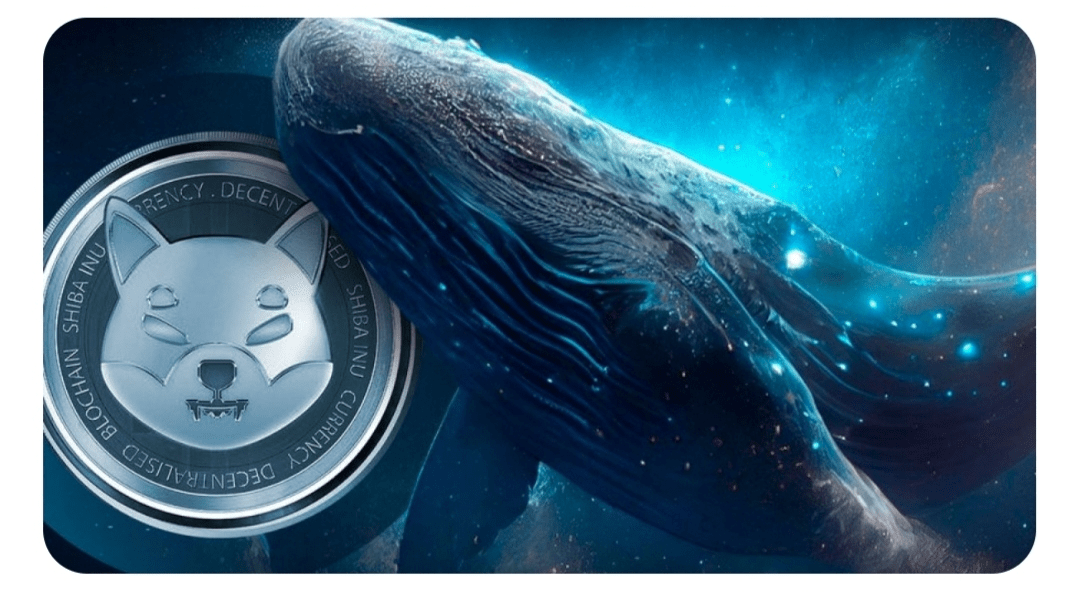 Shiba Inu (SHIB) raises eyebrows with surprising 570% surge in supply ...