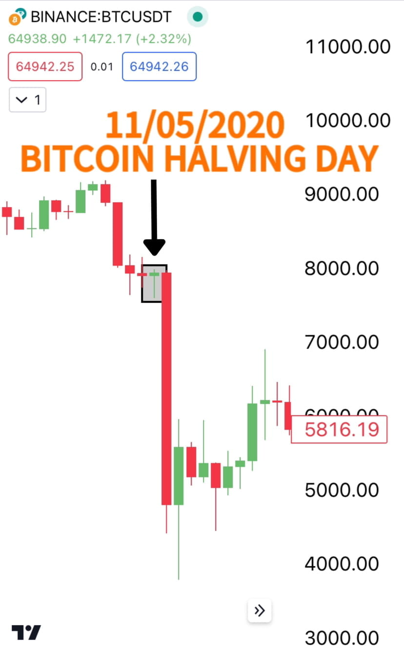 🚨11 Hours Remaining For 4th BTC Halving🚀 Hey Future Milli | SHEIKH ...