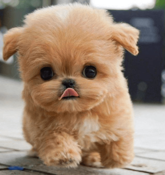 Contracts can really change the status quo. You read that right. | All ...