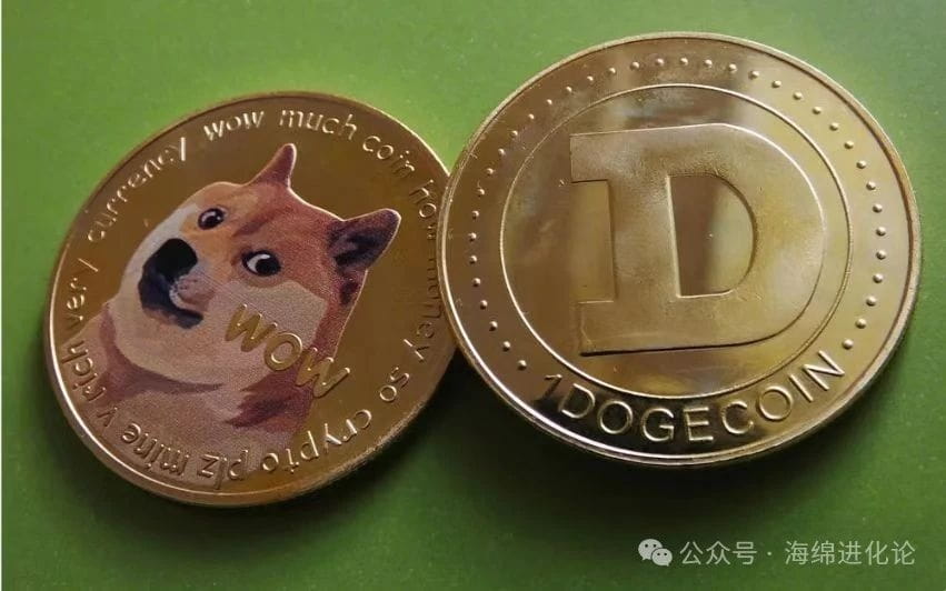 Dogecoin (DOGE) Price Soars 5% as Key Indicators Bullish | 海绵进化论 on ...