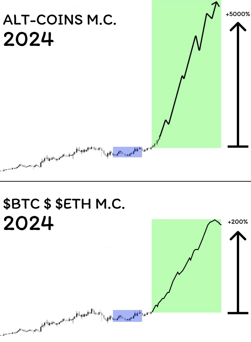 The BTC halving officially marks the start of the Bull Run! | Chow ...