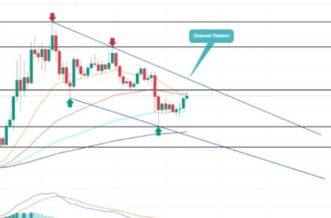 Analyzing the technical indicators for Pepe coin reveals a | Perfect ...