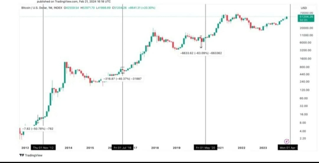 Pre-Halving Correction Bitcoin price always sees a signific | Helinn on ...