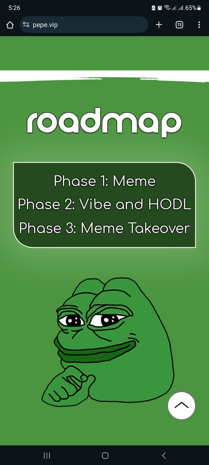 PEPE Token Roadmap ! I just hold some PEOE Coins . hope it | H A N I F ...
