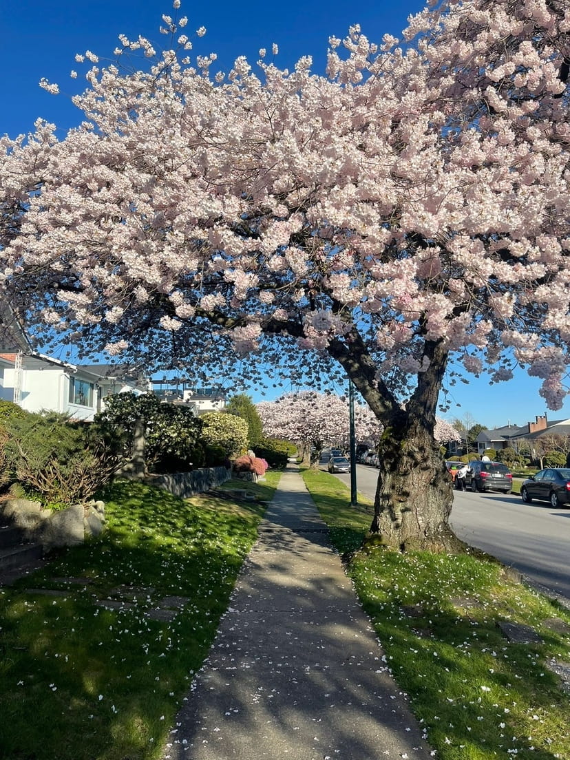 With the late-session high and then fall, the price of Bitco | A林飞财源广进 ...