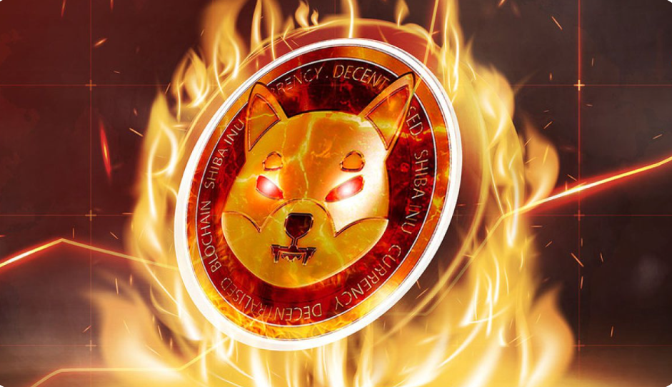 Shiba Inu Burn Rate Skyrockets 489% Amid SHIB Critical Price | Crypto Web3 Today on Binance Square