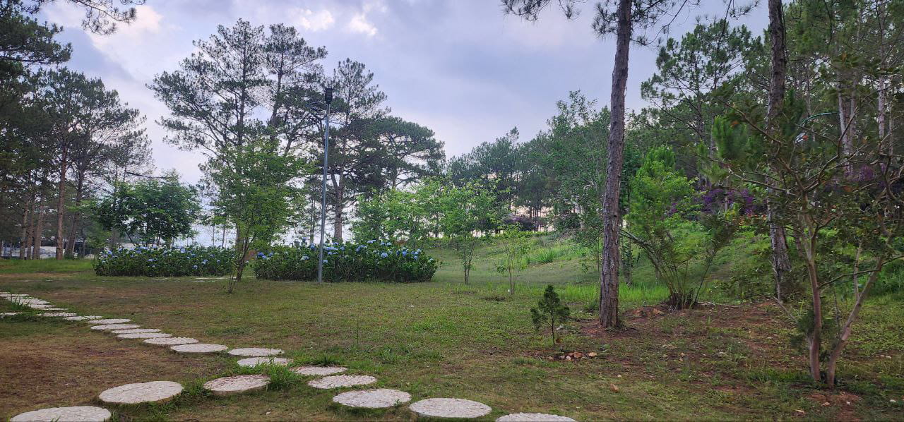 🍀 This wave is a corrective down wave to prepare for a stro | Big Shark ...