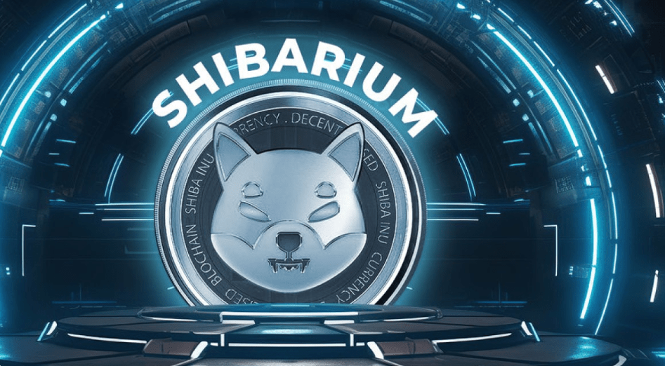 Shiba Inu's Shibarium Skyrockets 160% as Key Metric | Crypto Web3 Today ...
