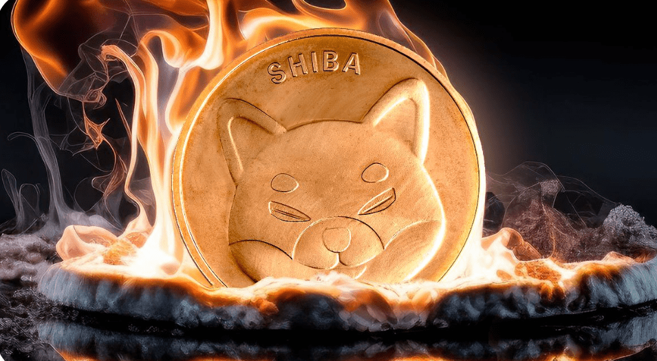Shiba Inu Skyrockets 60% in Burn Rate; What It Means for SHI | Crypto Web3 Today on Binance Square