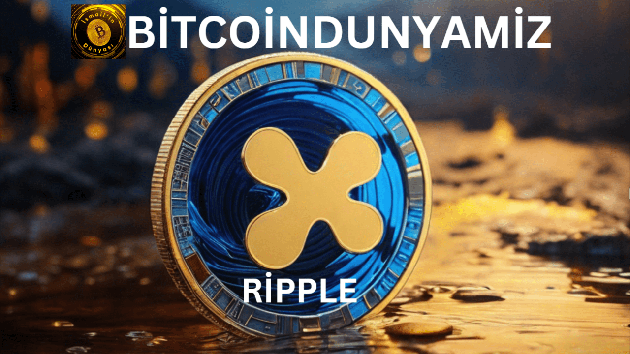 Ripple CTO Details the Big Development: Here's the Reaction of the XRP ...