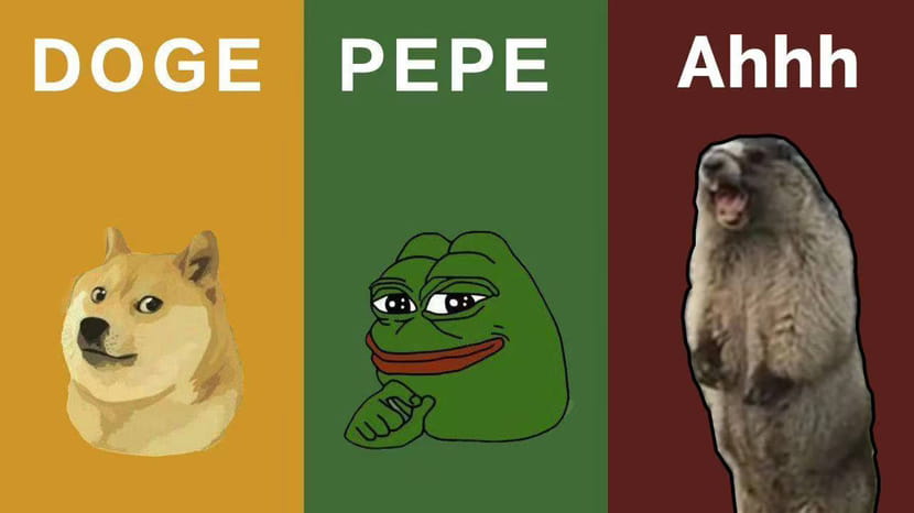 $PEPE $DOCK $DOGE Who is the king of memes? Could it be Ahhh | 阿拉丁灯神 on ...