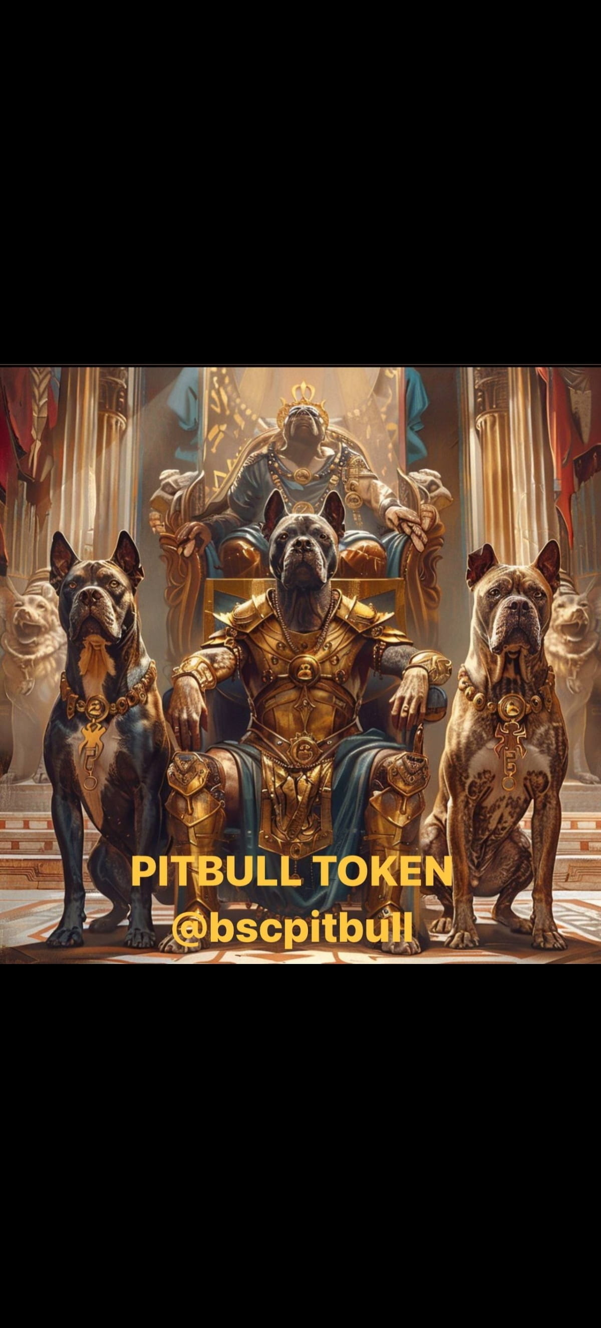 The next x100 token #Pitbull has been in so much buzz | ChainTalk_Ama ...