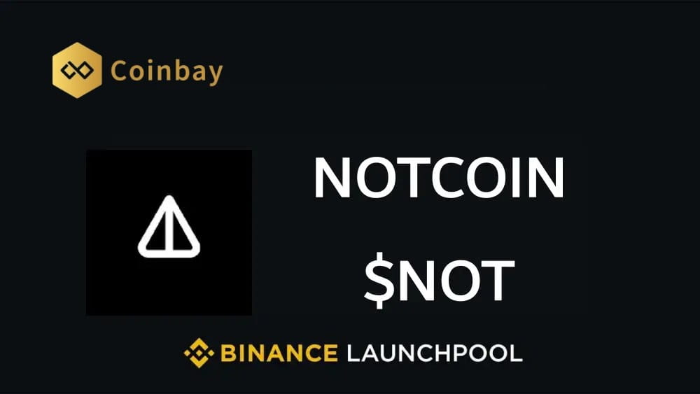 🚩Notcoin (NOT token) - the 54th project on Binance Launchpo | Coinbay ...