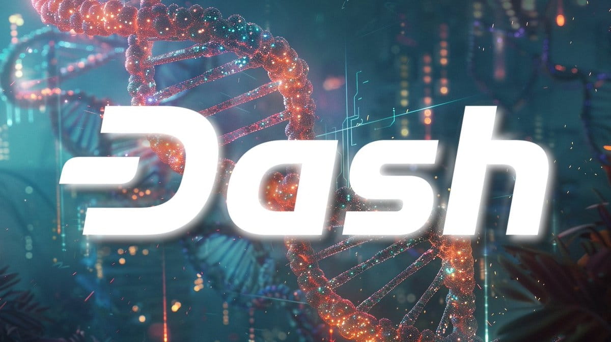 El Dash de hoy ya no se parece en nada al Dash de 2017 en un | Dash en ...