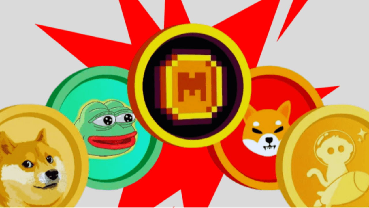 After the Market Drop, Get Ready for the Return of Meme Season with ...