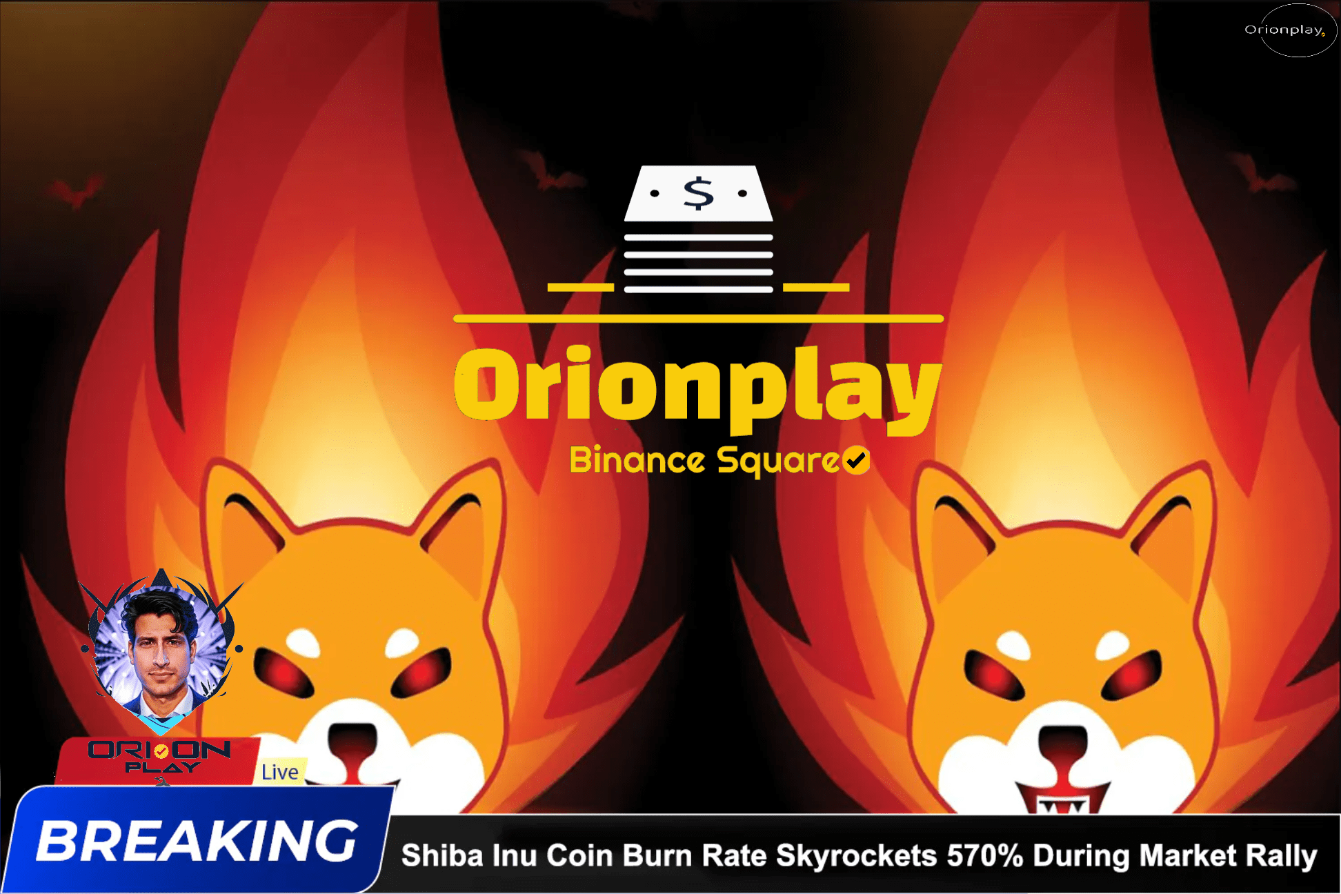 🚀 Shiba Inu Coin Burn Rate Skyrockets 570% During Market Ra | ORIONPLAY ...